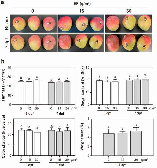 A Novel Ethyl Formate Fumigation Strategy for Managing Yellow Tea ...