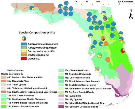 Ticks and Tick-Borne Pathogens from Wild Pigs in Northern and Central ...