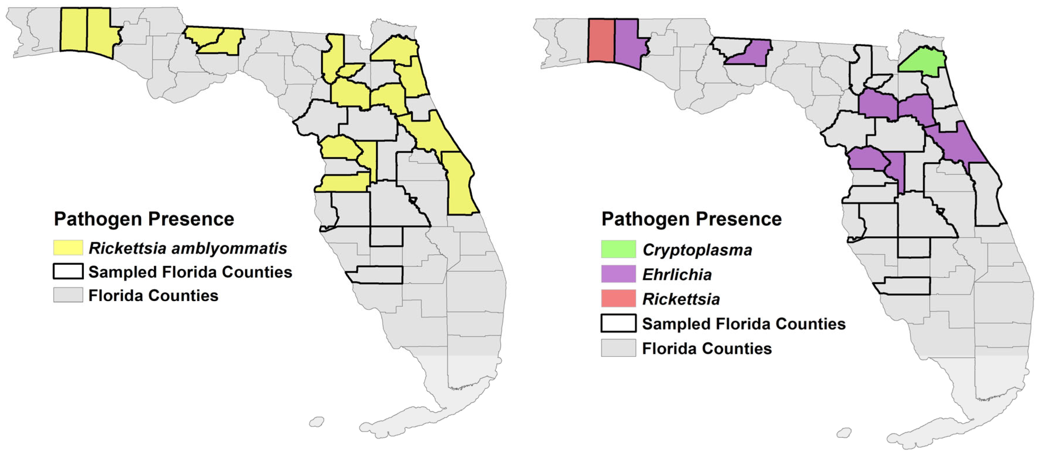 Ticks and Tick-Borne Pathogens from Wild Pigs in Northern and Central ...