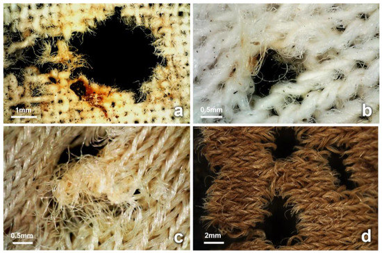 Insects | Free Full-Text | Qualitative Analyses of Textile Damage (Cuts ...