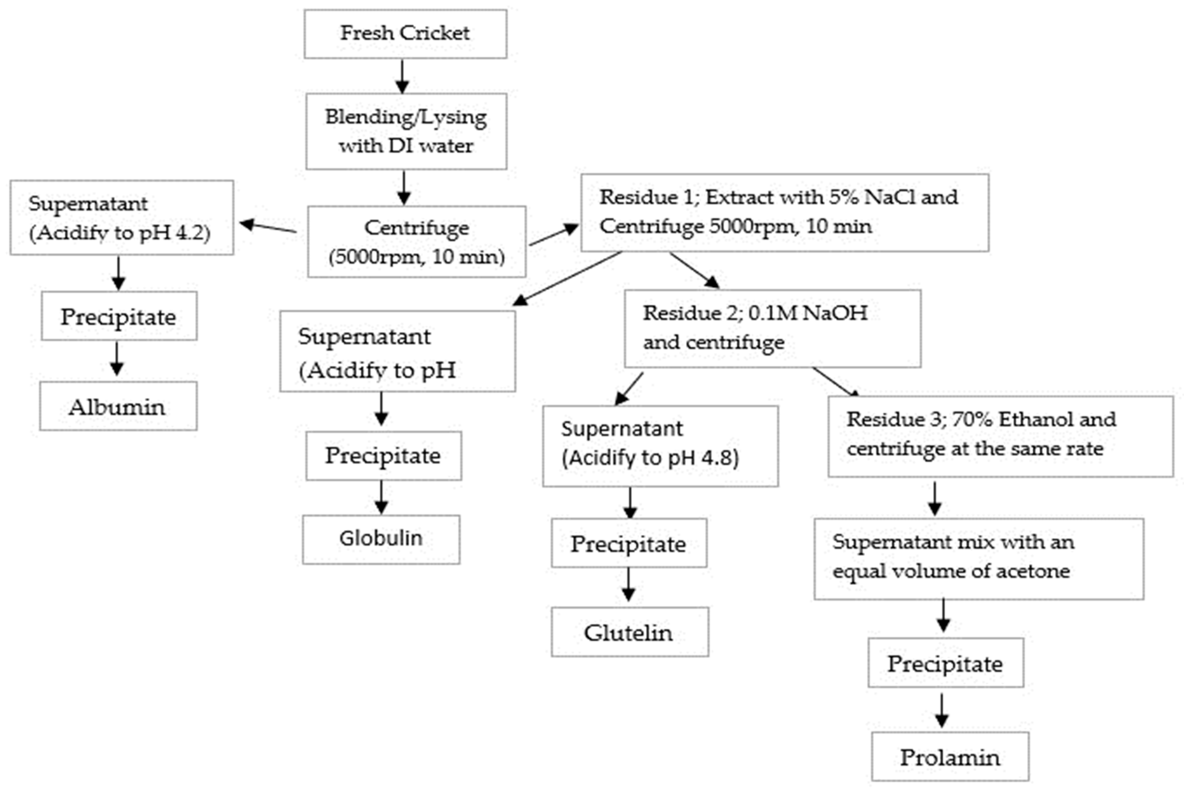 Insects | Free Full-Text | Isolation and Identification of Antioxidant ...