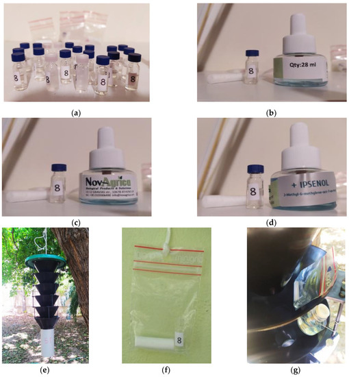 Comparison of Three Attractants for the Effective Capture of ...