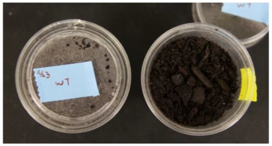 An Optimized Small-Scale Rearing System to Support Embryonic ...