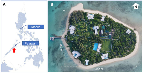 Rapid Elimination of Aedes aegypti and Culex quinquefasciatus ...