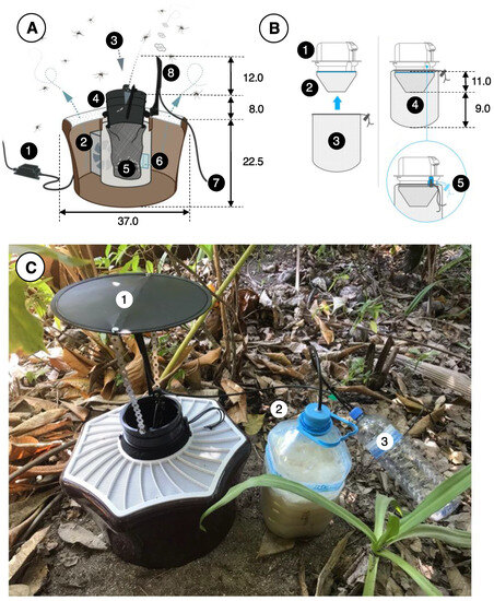 Rapid Elimination of Aedes aegypti and Culex quinquefasciatus ...
