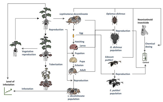 Network Modeling for Post-Entry Management of Invasive Pest Species in ...