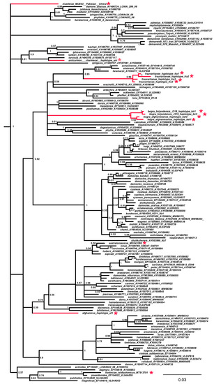 Insects | Free Full-Text | Phylogenetic Structure Revealed through ...