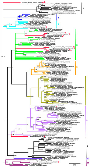 Insects | Free Full-Text | Phylogenetic Structure Revealed through ...