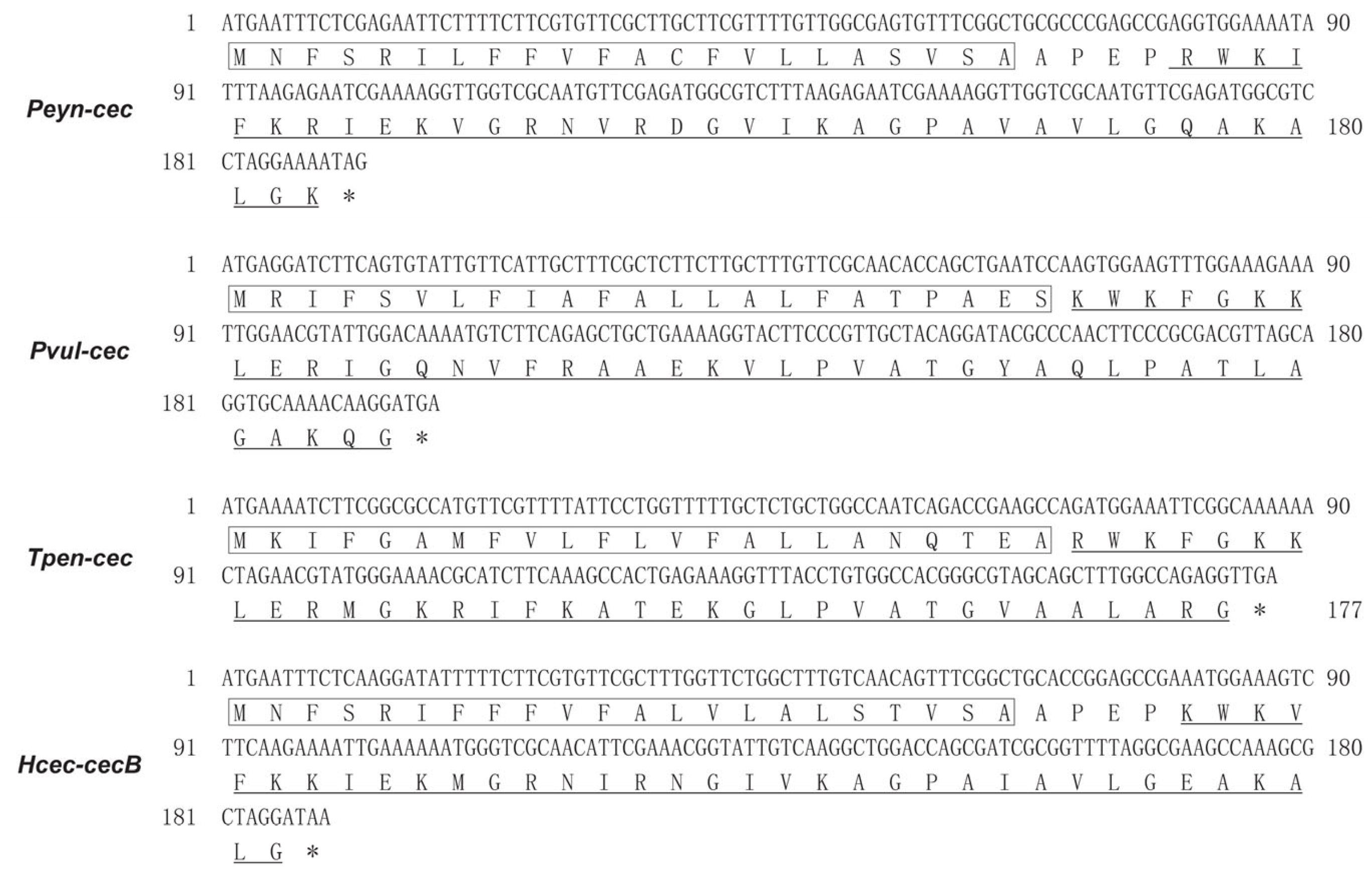 Screening and Functional Analyses of Novel Cecropins from Insect ...