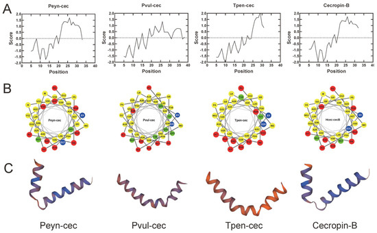 Screening and Functional Analyses of Novel Cecropins from Insect ...