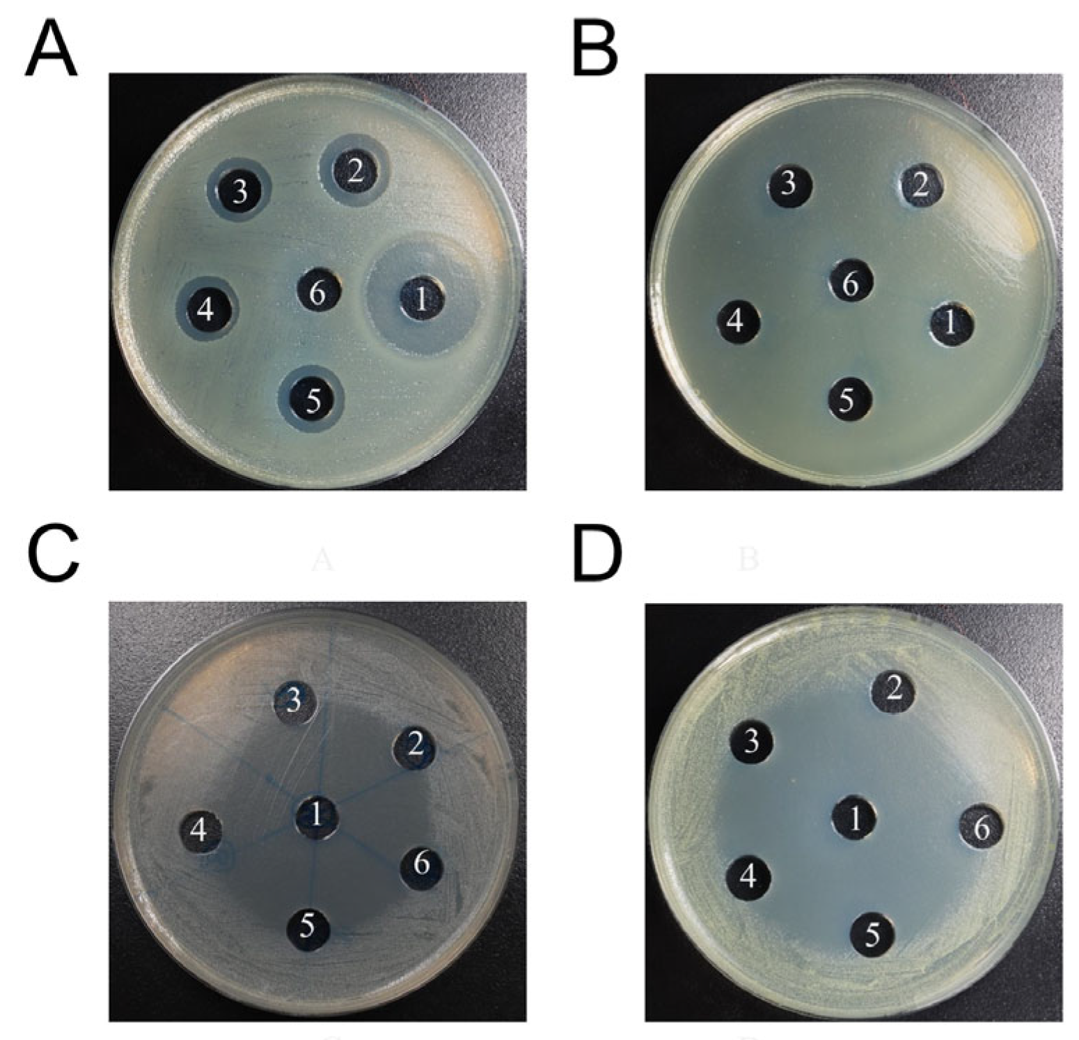 Screening and Functional Analyses of Novel Cecropins from Insect ...