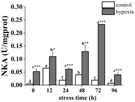 The Multifaceted Effects of Short-Term Acute Hypoxia Stress: Insights ...
