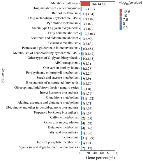 The Multifaceted Effects of Short-Term Acute Hypoxia Stress: Insights ...