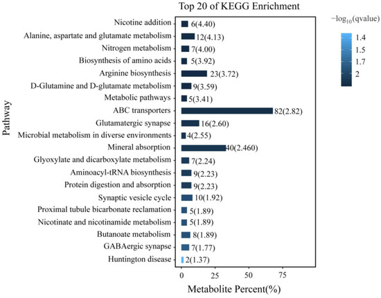 The Multifaceted Effects of Short-Term Acute Hypoxia Stress: Insights ...
