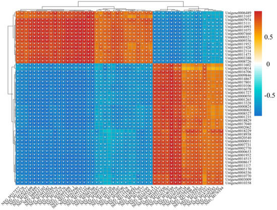 The Multifaceted Effects of Short-Term Acute Hypoxia Stress: Insights ...