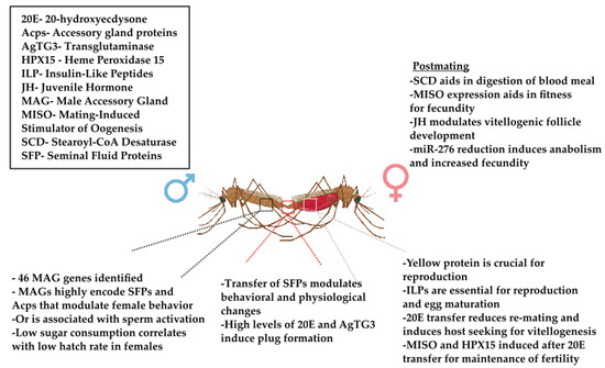 Insects | Free Full-Text | Current Status of Omics Studies Elucidating ...