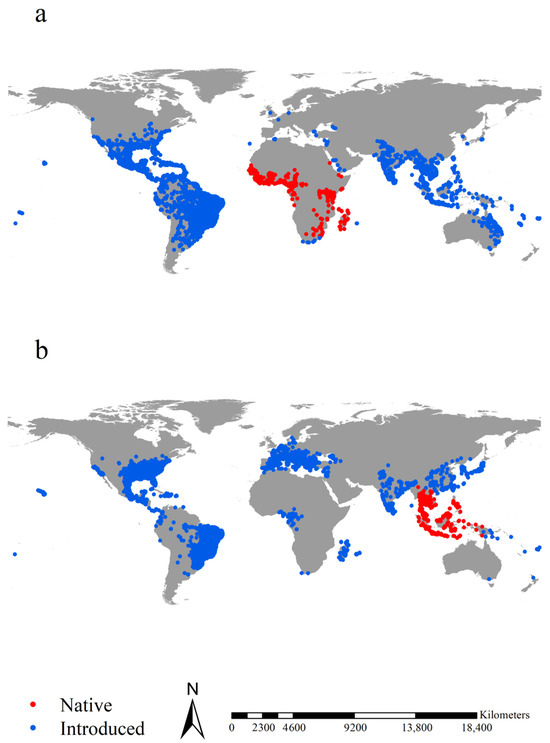 Niche and Range Shifts of Aedes aegypti and Ae. albopictus Suggest That ...