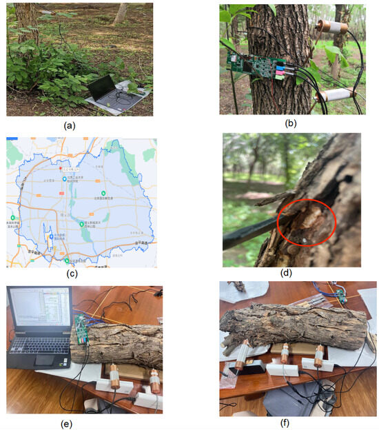 Multi-Channel Time-Domain Boring-Vibration-Enhancement Method Using RNN Networks
