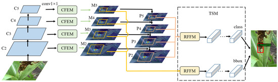 Insects | Free Full-Text | Feature Refinement Method Based on the Two-Stage Detection Framework ...