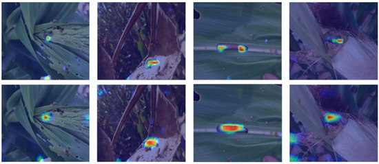 Insects | Free Full-Text | Feature Refinement Method Based on the Two-Stage Detection Framework ...