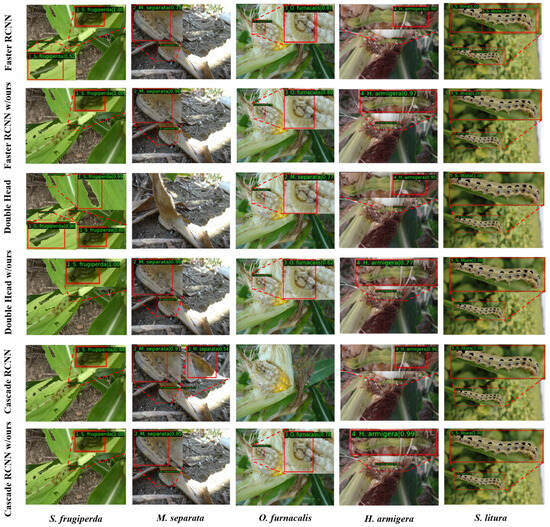 Insects | Free Full-Text | Feature Refinement Method Based on the Two-Stage Detection Framework ...