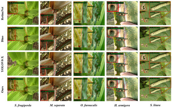 Insects | Free Full-Text | Feature Refinement Method Based on the Two-Stage Detection Framework ...