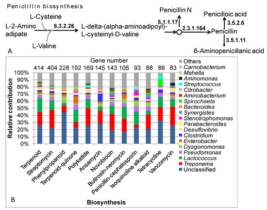 Understanding the Role of Free-Living Bacteria in the Gut of the Lower ...