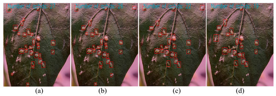 Aphid Recognition and Counting Based on an Improved YOLOv5 Algorithm in a Climate Chamber ...
