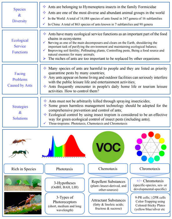 Research Progress on the Species and Diversity of Ants and Their Three ...