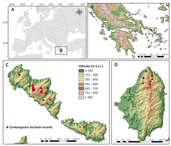 Insects | Free Full-Text | Occurrence and Population Density of the ...