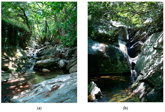 Insects | Free Full-Text | Occurrence and Population Density of the ...