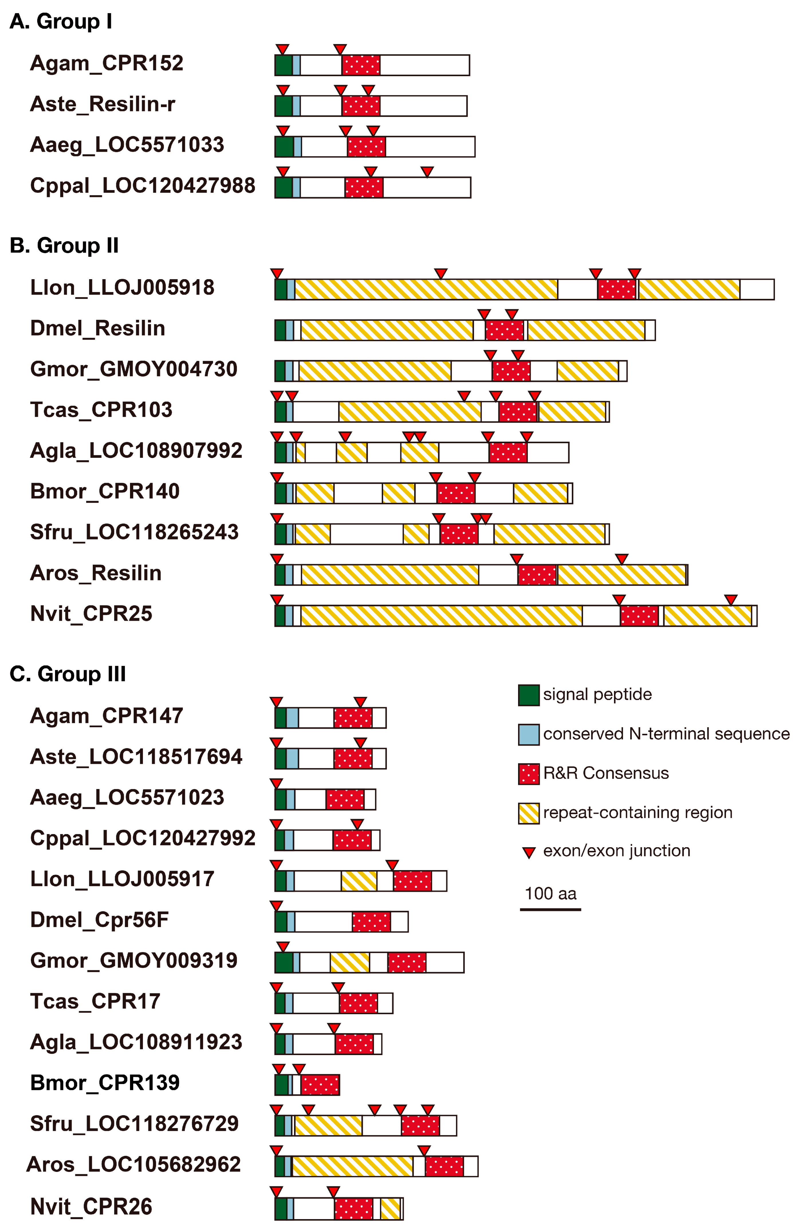Mosquitoes Possess Specialized Cuticular Proteins That Are ...