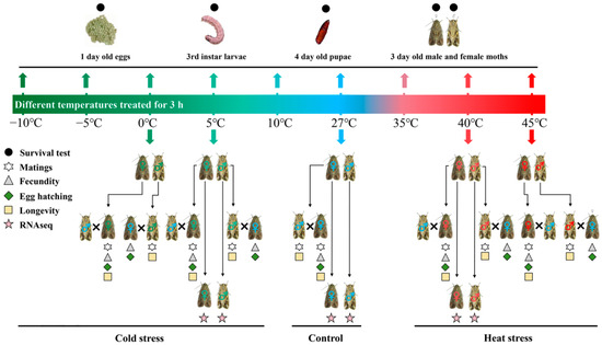 Insects | Free Full-Text | High and Low Temperatures Differentially Affect Survival ...