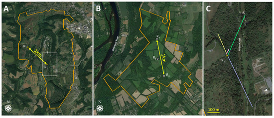 Insects | Free Full-Text | Radio Telemetry and Harmonic Radar Tracking ...