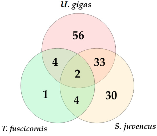 Fungal Communities Associated with Siricid Wood Wasps: Focus on Sirex ...