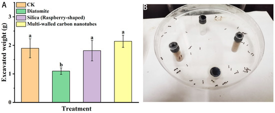 Toxicity and Behavior-Altering Effects of Three Nanomaterials on Red ...