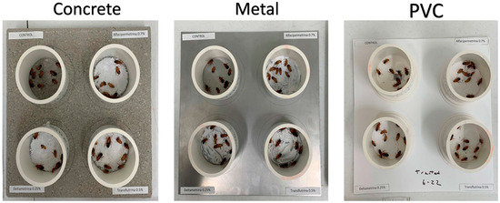Comparative Efficacy of Pyrethroid-Based Paints against Turkestan ...