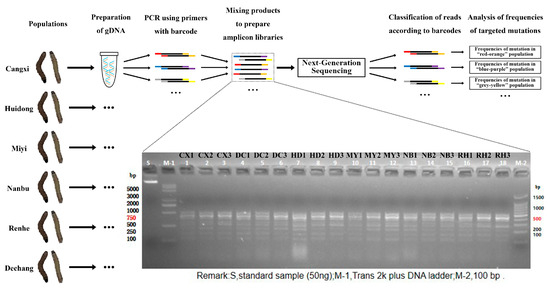 Discovery of Novel Potential Insecticide-Resistance Mutations in ...