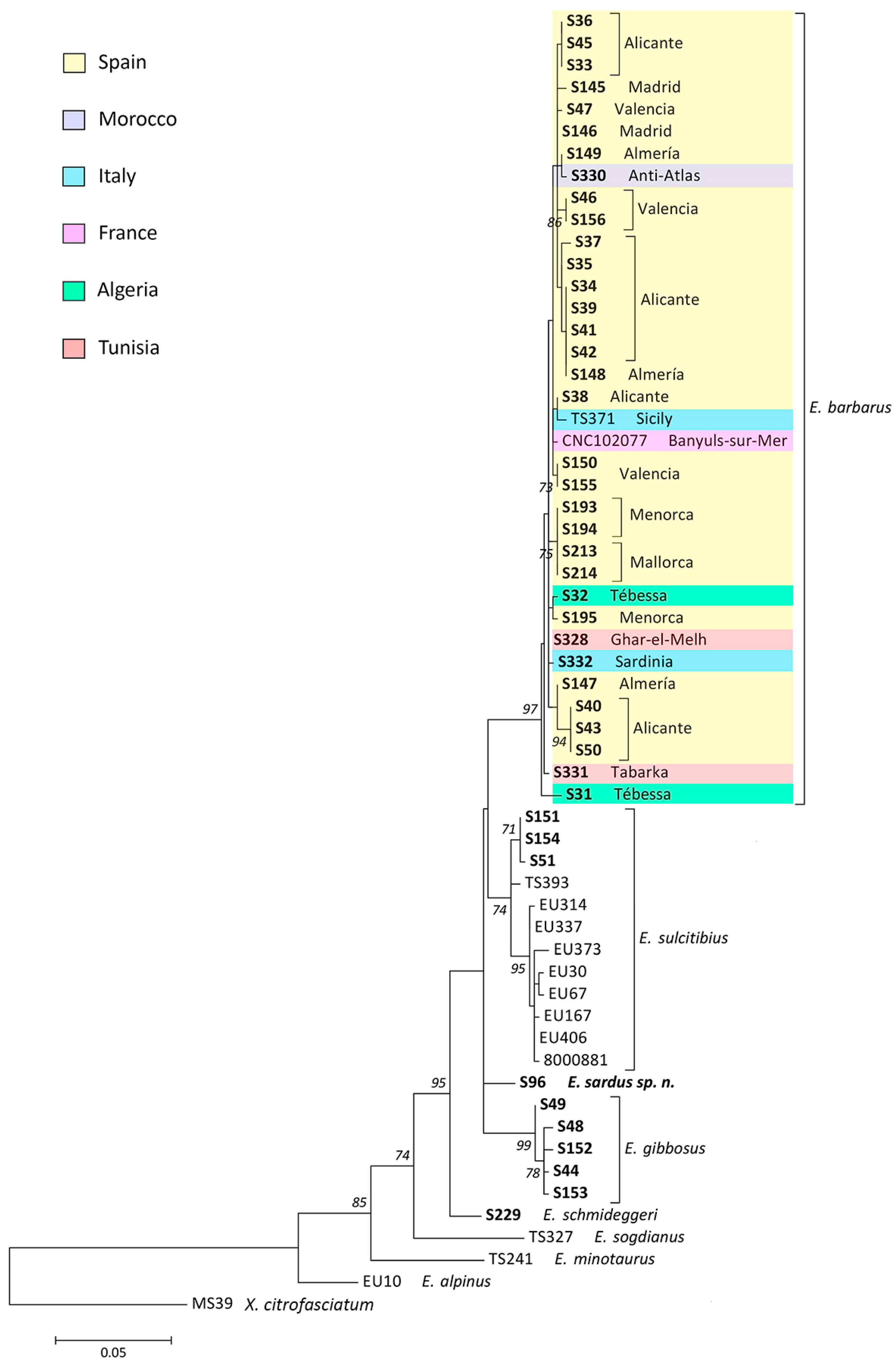 Insects | Free Full-Text | Unveiling the Mainland vs. Insular ...