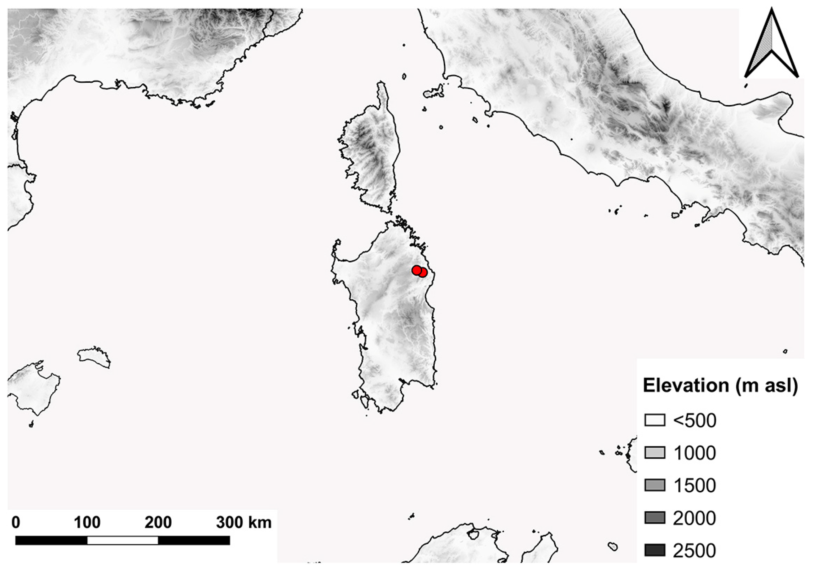 Insects | Free Full-Text | Unveiling the Mainland vs. Insular ...