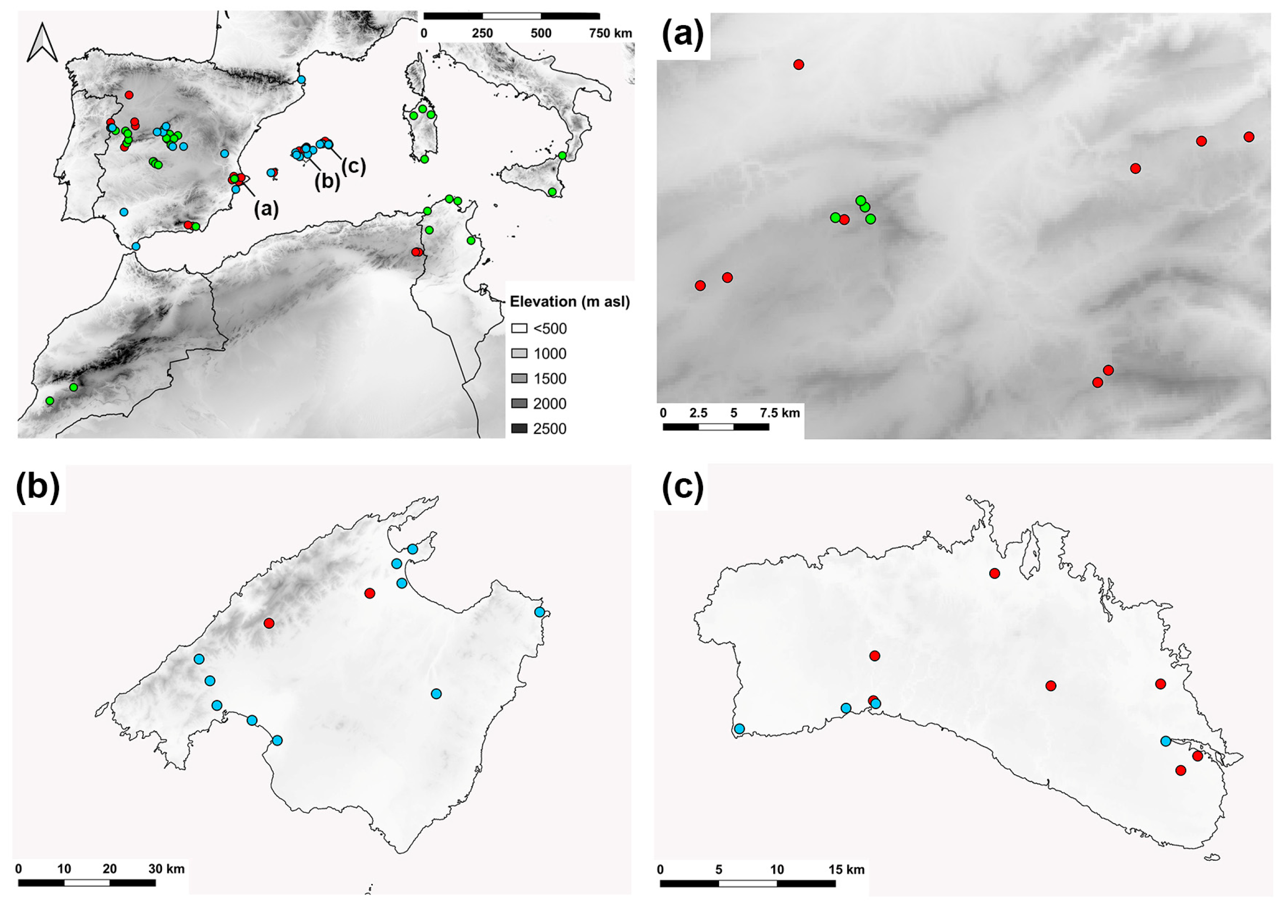 Insects | Free Full-Text | Unveiling the Mainland vs. Insular ...