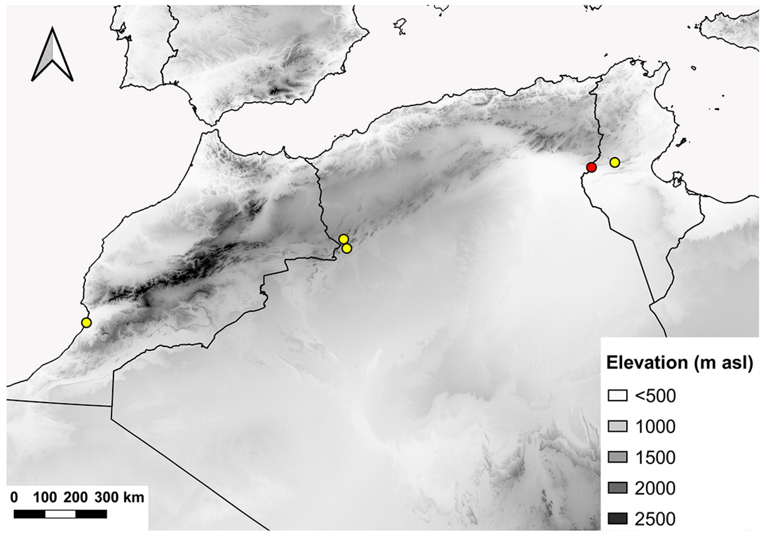 Insects | Free Full-Text | Unveiling the Mainland vs. Insular ...