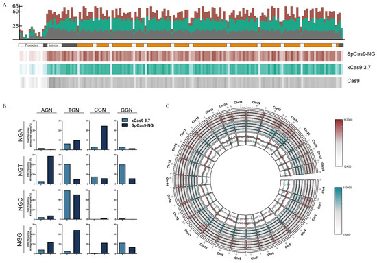 High-Throughput Screening of PAM-Flexible Cas9 Variants for Expanded ...