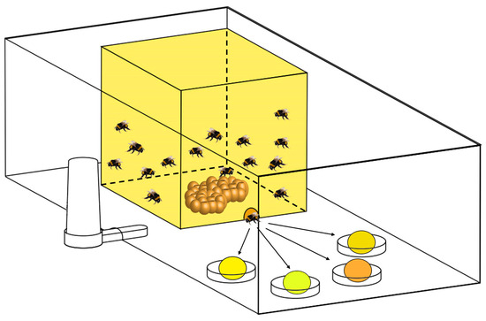 Bombus terrestris Prefer Mixed-Pollen Diets for a Better Colony ...