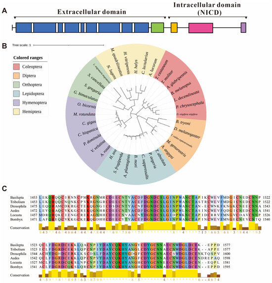 The Expression and Function of Notch Involved in Ovarian Development ...