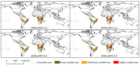Risk Assessment of Spodoptera exempta against Food Security: Estimating ...