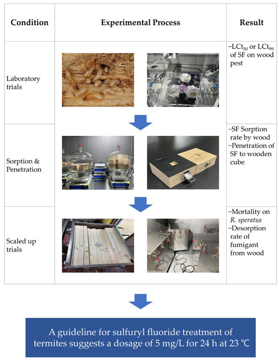 Sulfuryl Fluoride Fumigation as a Quarantine Treatment for the Control ...
