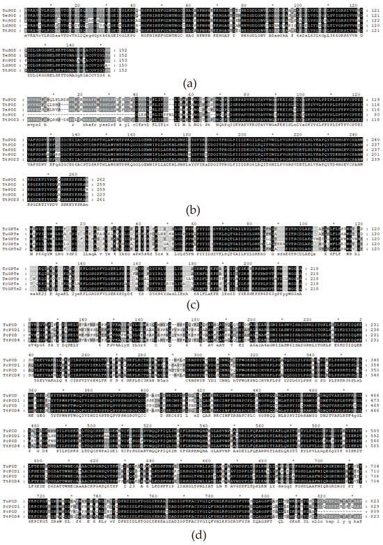 Differential Antioxidant Enzyme Gene Expression and Functional Analysis ...