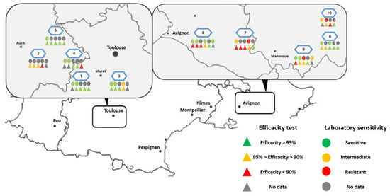 Amitraz Resistance in French Varroa Mite Populations—More Complex Than ...