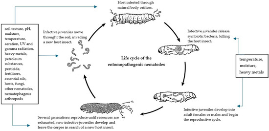 Impact of Abiotic and Biotic Environmental Conditions on the ...